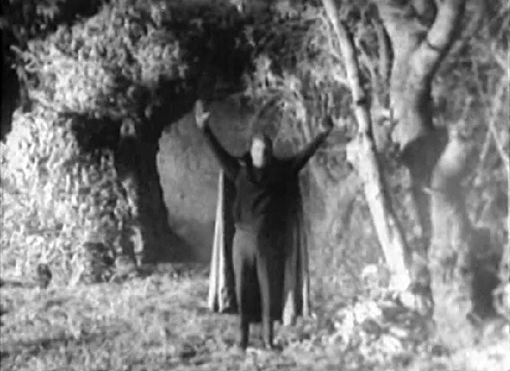 BCC - Doctor Satan Tree – Body Count Clothing